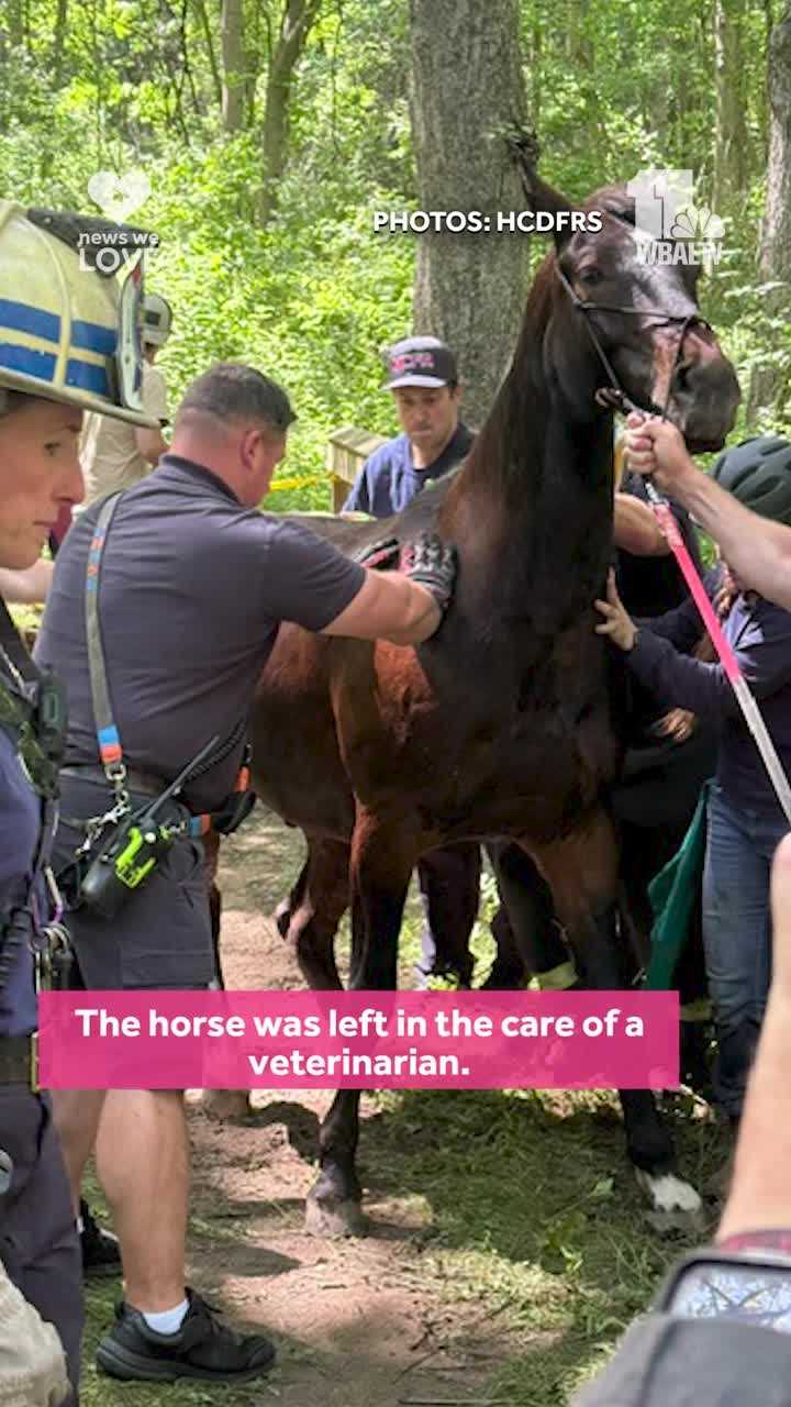 Firefighters rescue horse stuck in bridge