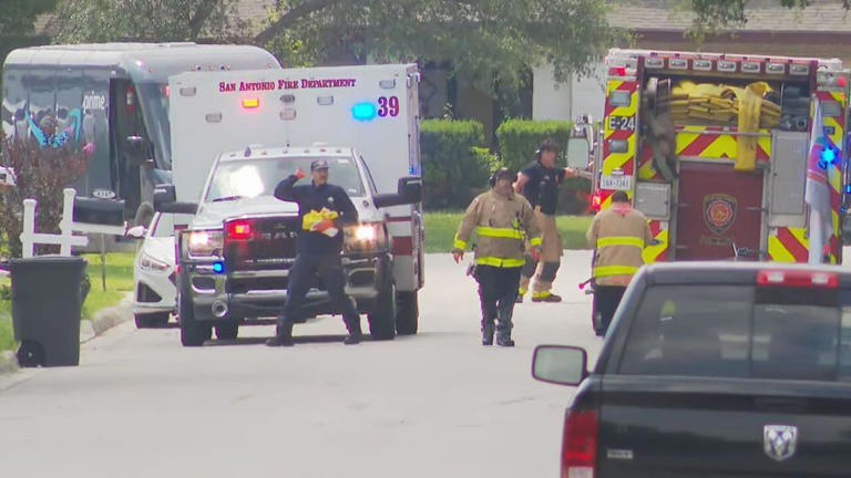 Bee swarm leaves 3 hospitalized, firefighter stung