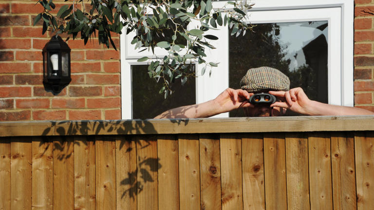 The natural way to add privacy to your yard without fences or screens