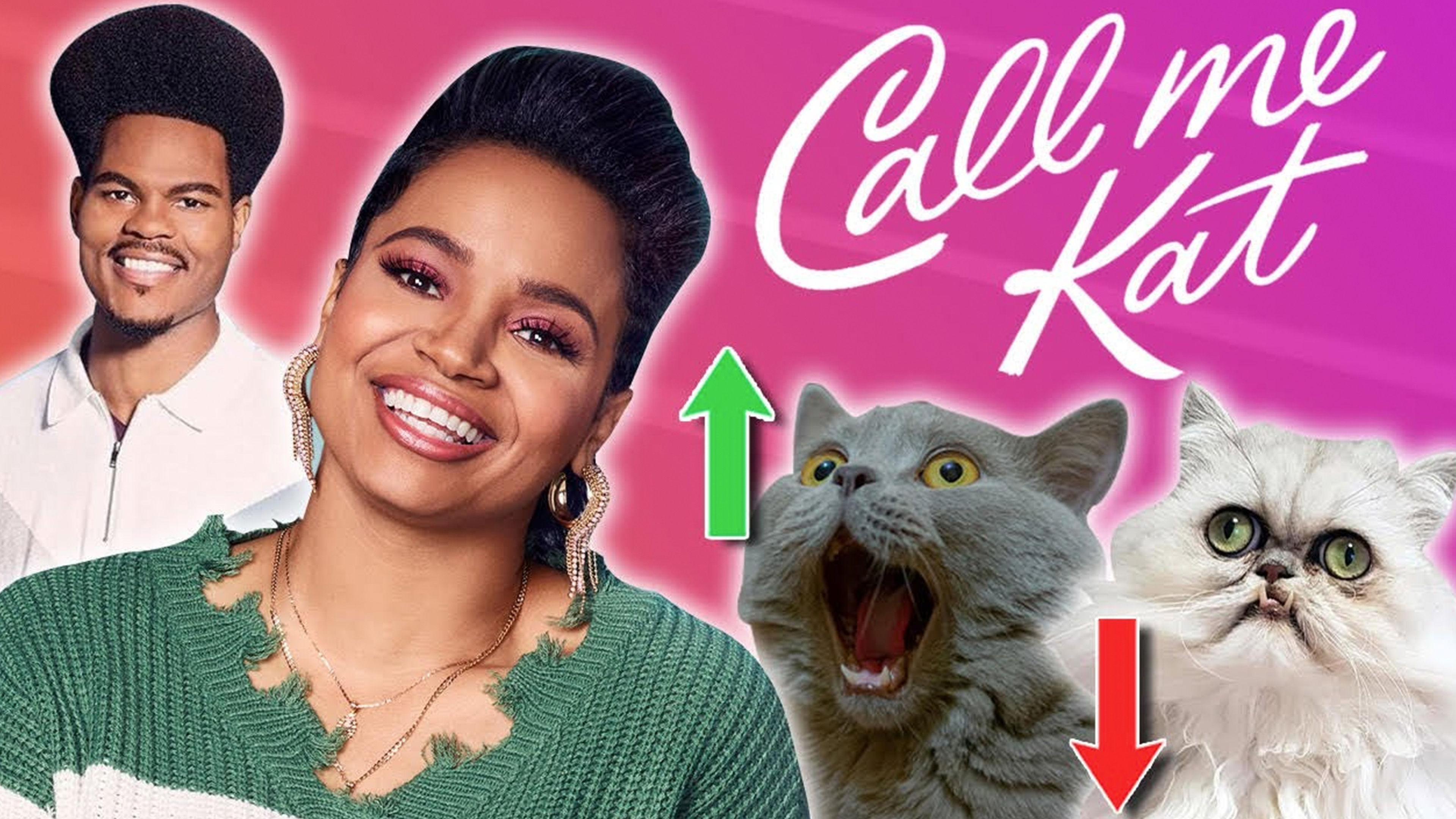 The Call Me Kat cast evaluates the wildest cat videos ever made