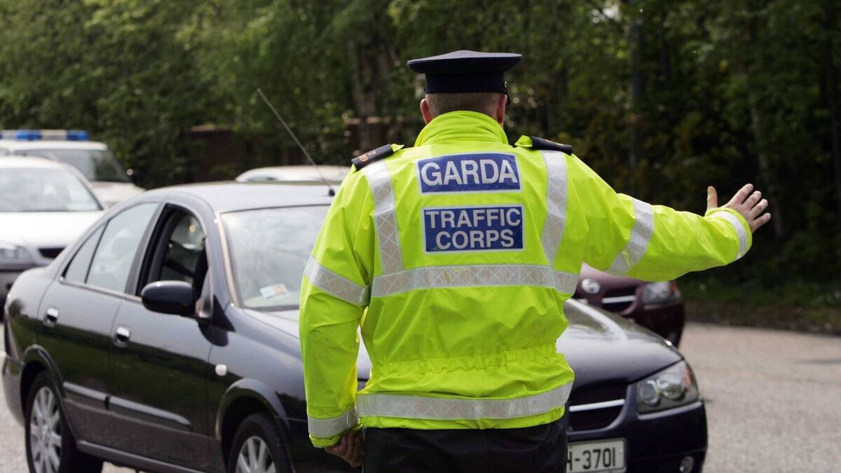 Cork man told gardaí 'it’s dangerous out there' when found with a ...