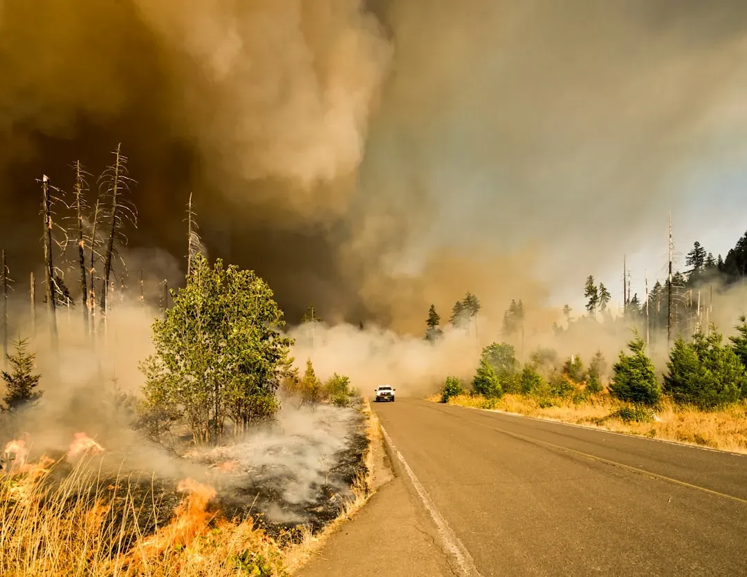 The 4 most wildfire-prone counties (and 3 you'd never suspect)