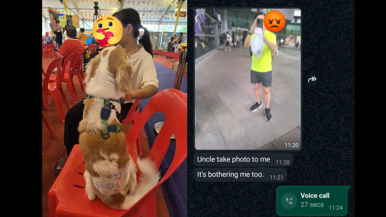 Man yelled at helper about dog sticking out his tongue, helper cries ...