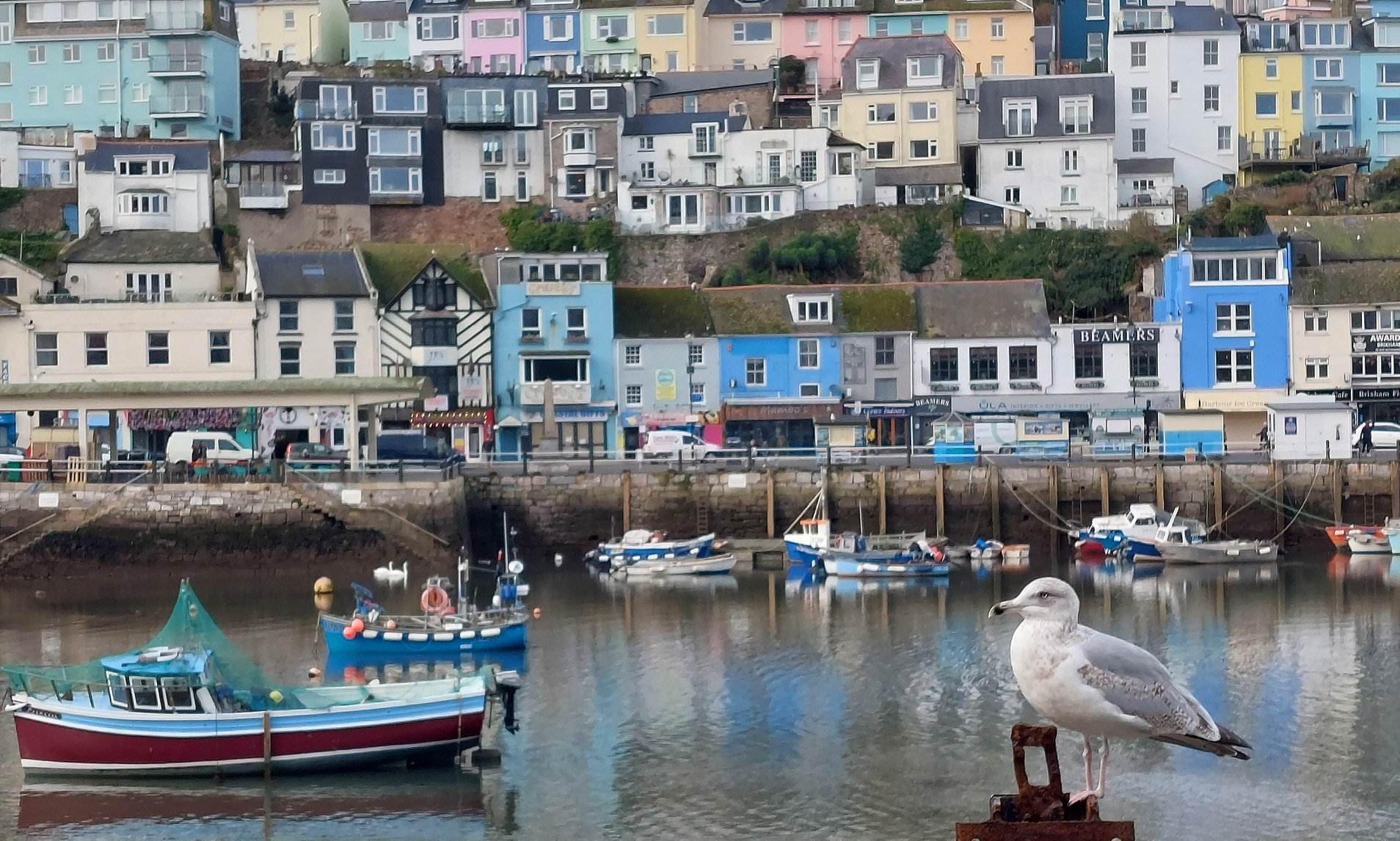 South West Water admits supplying homes with parasite-ridden water that ...