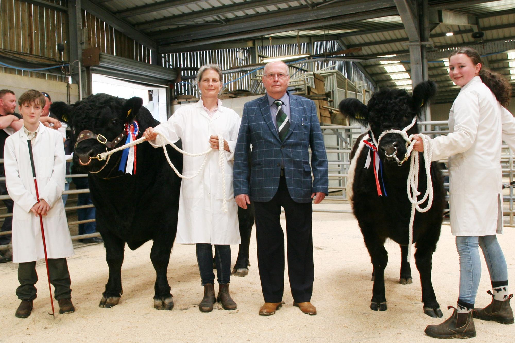 Barwise bull stands supreme at annual CCM Skipton Belted Galloway highlight