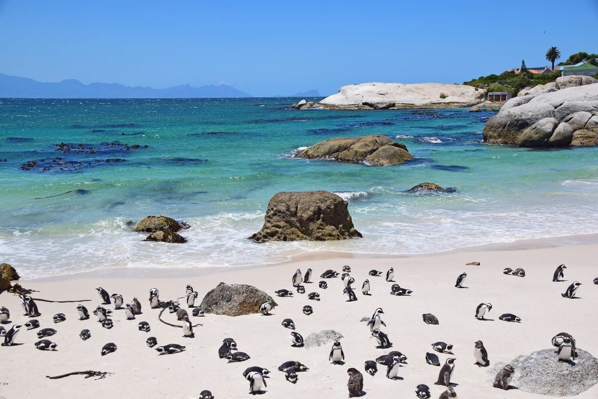 Table Mountain National Park changes operating hours for winter