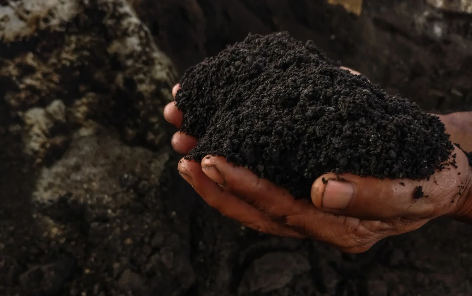 Soil secrets every gardener should know