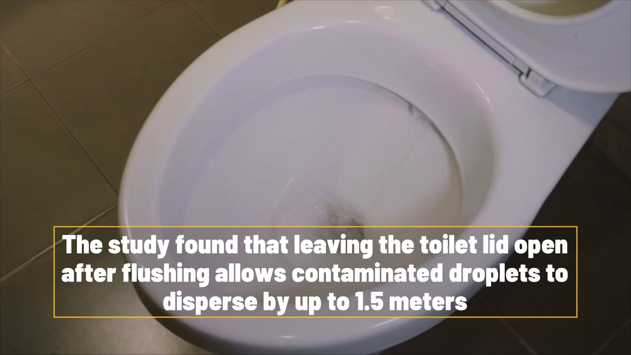 Why you should put the toilet lid down after flushing