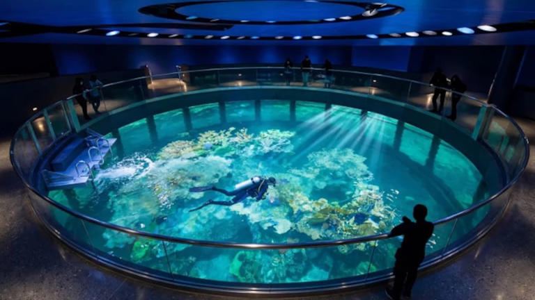 The $15 billion 'floating city': Inside the vision for the world's ...