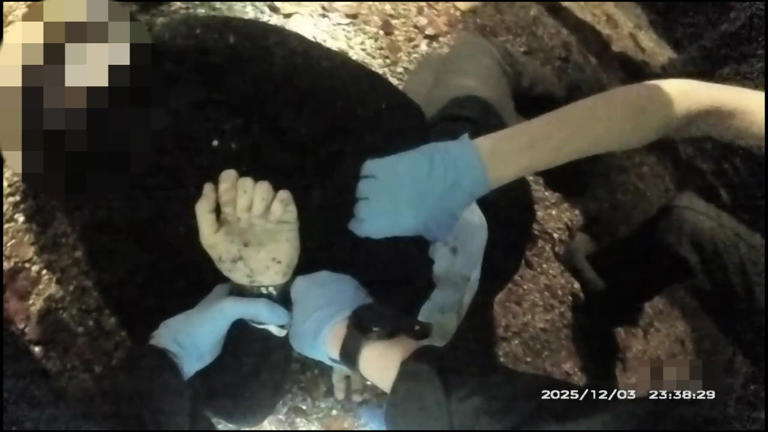 Three-month deadline set for Henry Nowak police response probe
