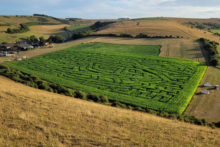 Farm near Lewes set to open seven-acre maize maze this summer