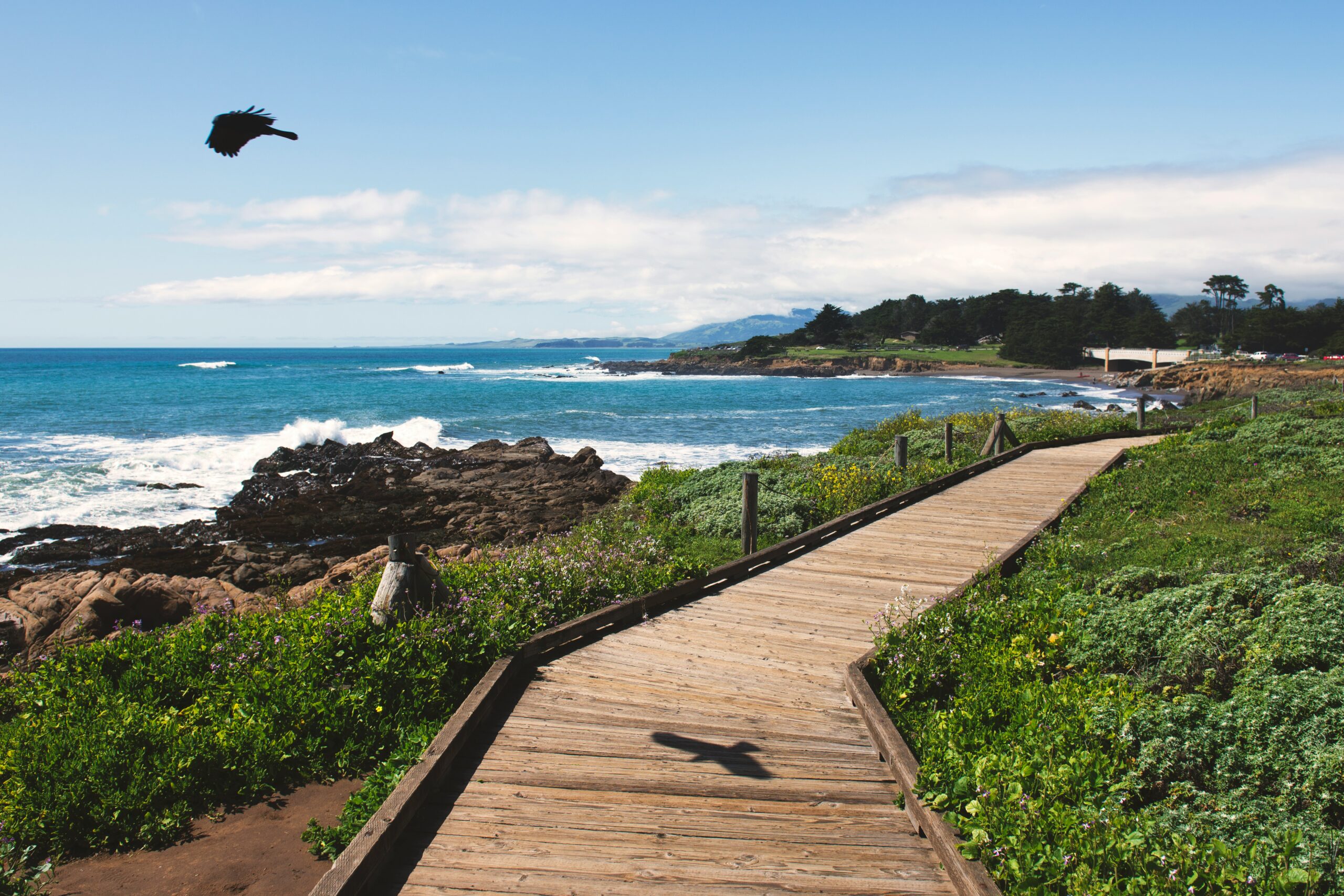 The Hidden Gem Destination in Every State That Feels Expensive Without ...