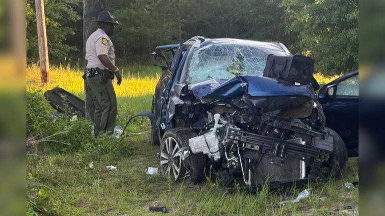 Early morning crash claims a life in Crisp County