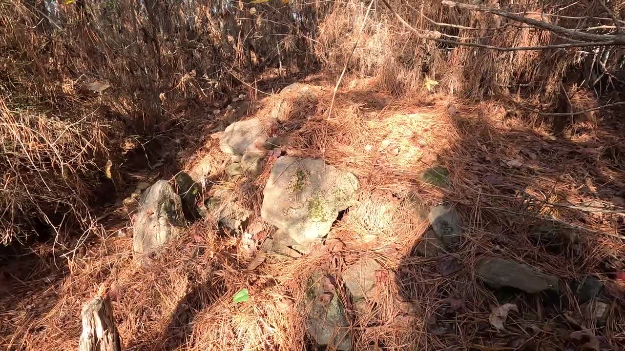 Archaeologists flagged a possible Native American site — but that was ...