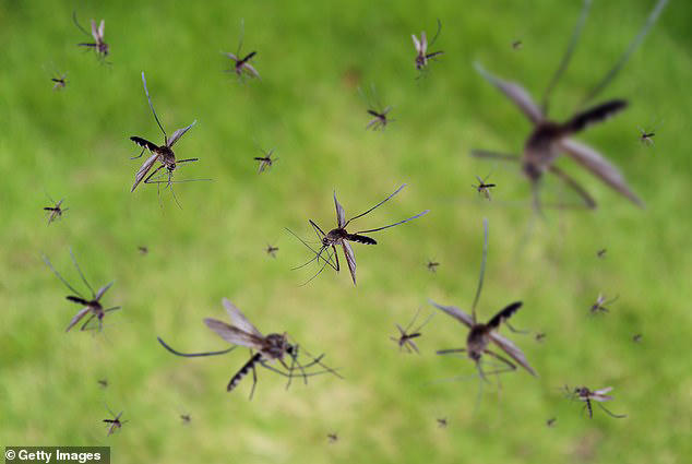 Outrage as Google plans to release 64 million bacteria-infected ...