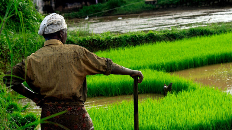 Maharashtra Cabinet Okays Farm Loan Waiver Of Up To Rs 2 Lakh ...