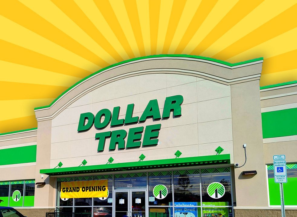 11 best new Dollar Tree gardening finds shoppers are racing to buy