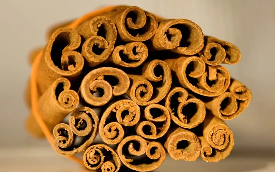 Dietitians highlight heart and blood sugar benefits of cinnamon coffee