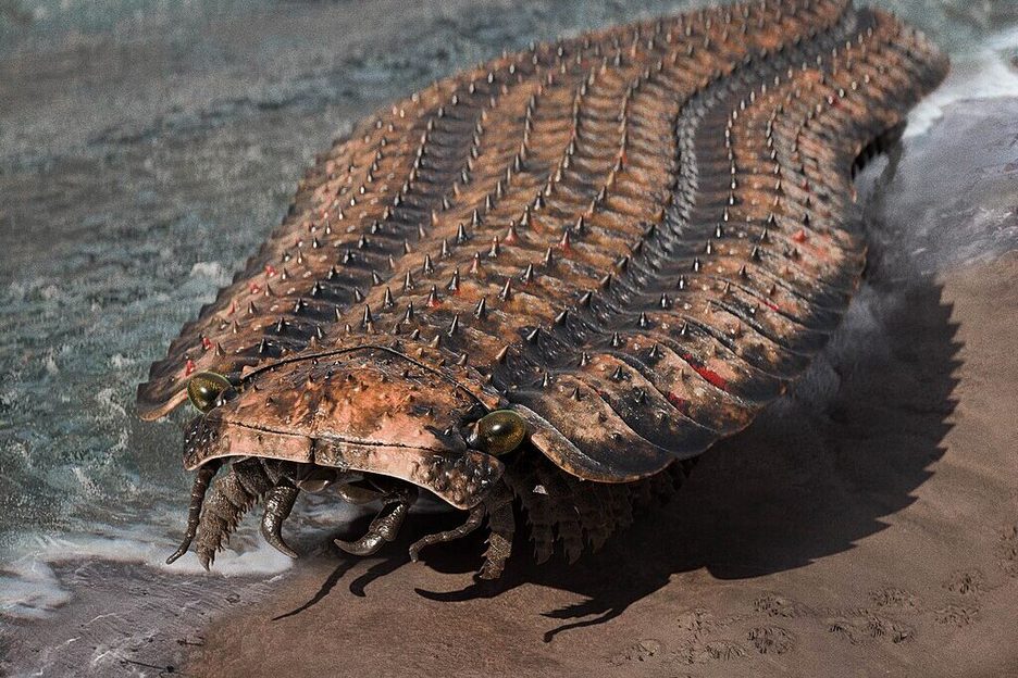 Imagine a scorpion that was the same size as a house cat. 10 gigantic ...
