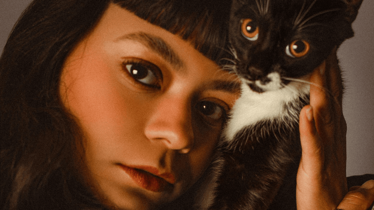 Feline slumber: Decoding the sleeping habits that reveal a special bond ...