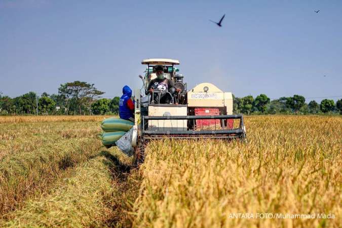 Dorong peningkatan produktivitas padi, Syngenta perkenalkan teknologi baru