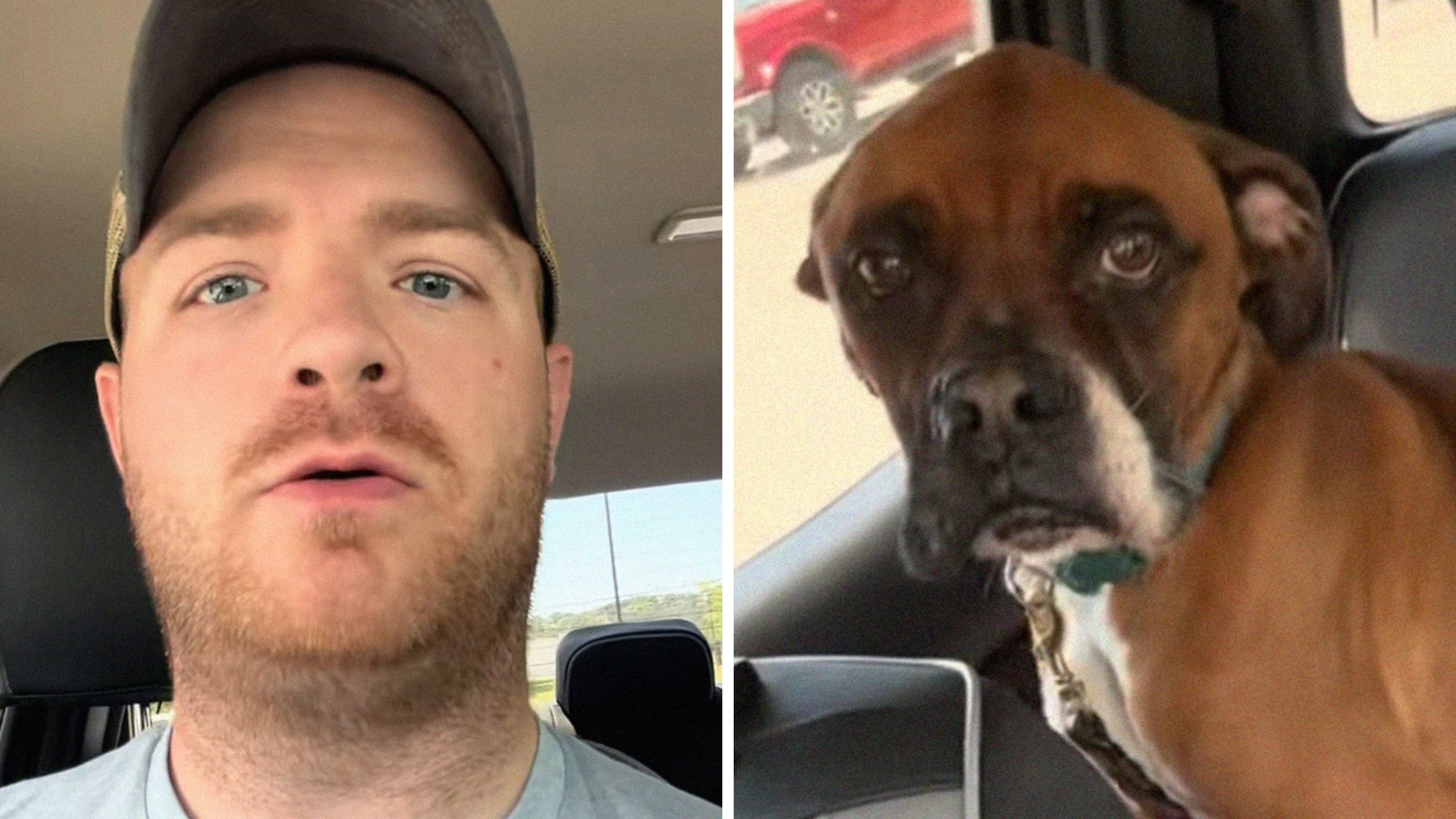 Tennessee man gets divorced: 2 years later he finally gets his dog back ...