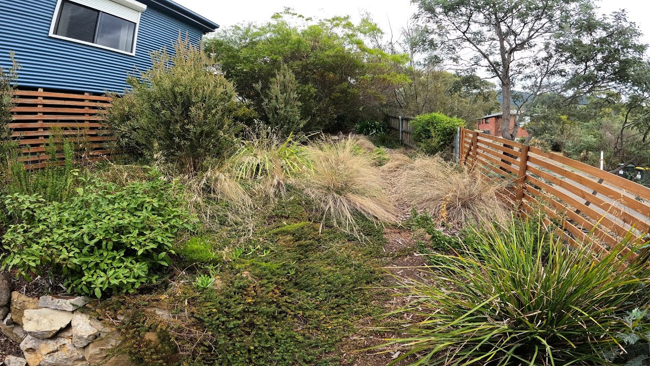 Horribly neglected garden makeover