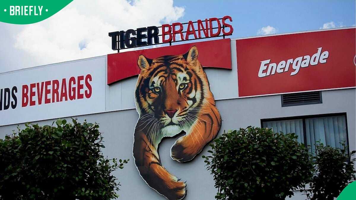 Tiger Brands sells iconic Beacon brand as part of business shake-up
