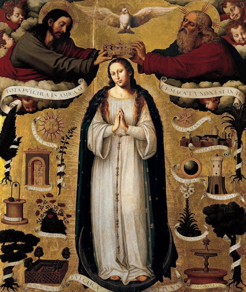 Why Mary, as the Immaculate Conception, became the patron saint of the ...