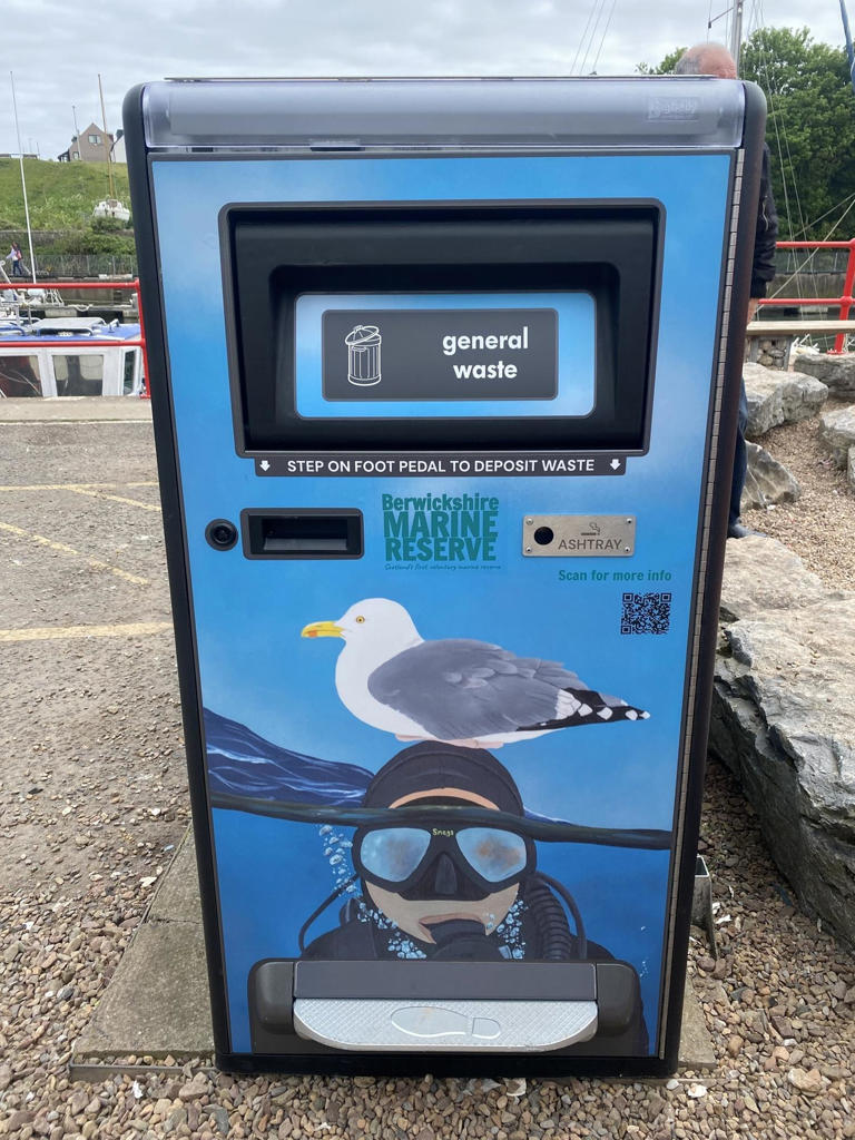 First gull-proof bin installed next to popular fish and chip shop in ...