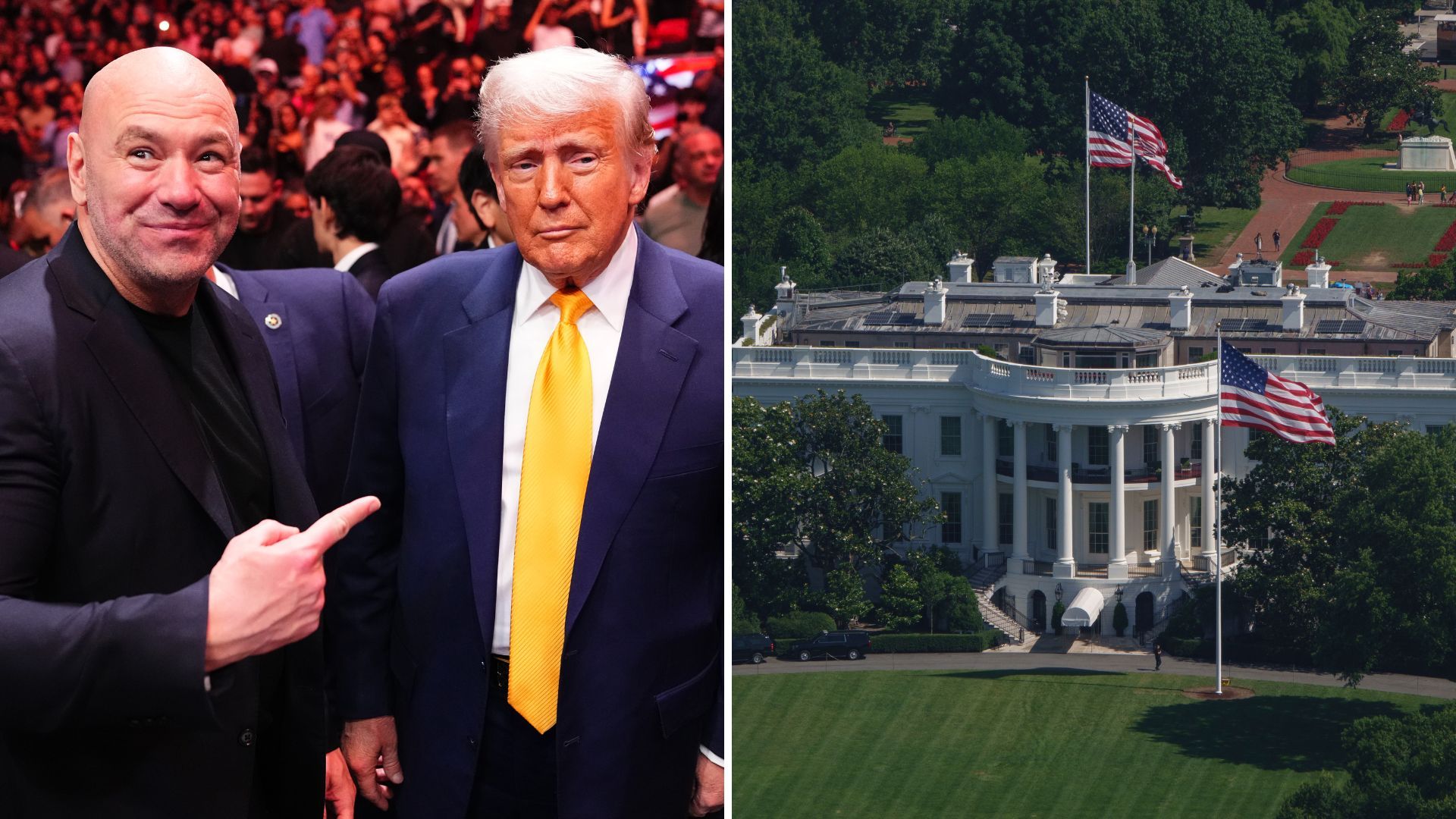 Only non-obese troops invited to Trump’s White House UFC event