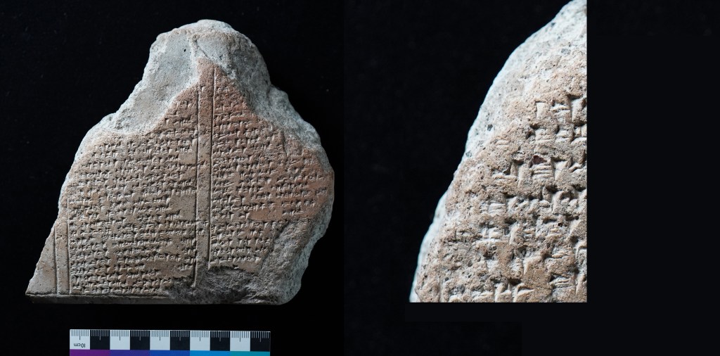 Scientists unlock 3,500-year-old ancient code that could rewrite human ...