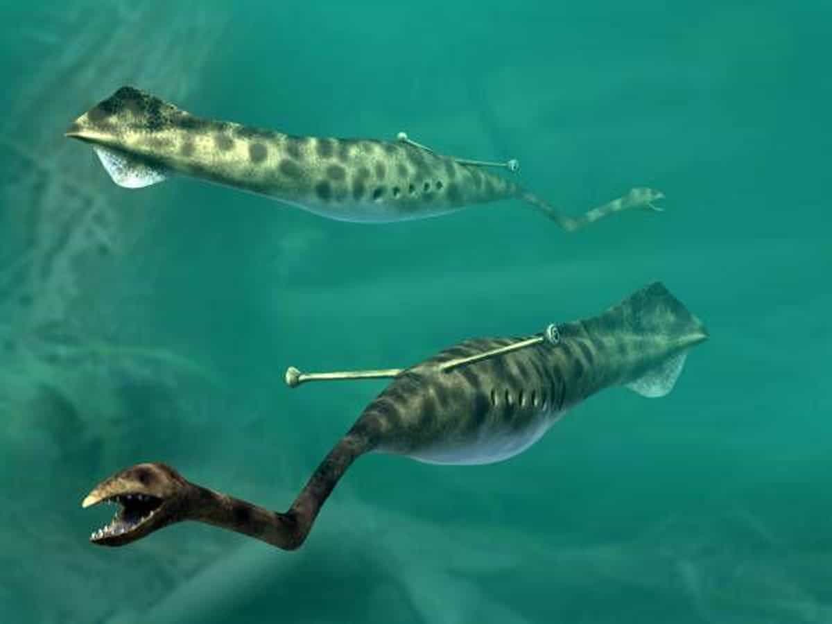 Prehistoric animals that sound made-up but aren't
