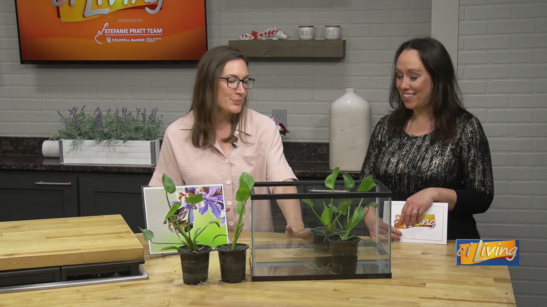 Protecting the pickerelweed bee: Community conservation project