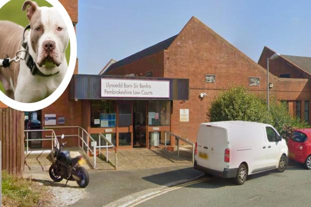 Family link between Oxfordshire fatal dog attack and Welsh illegal breeding