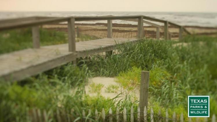 Planning a Texas beach trip? Two Galveston favorites just made a top 10 ...