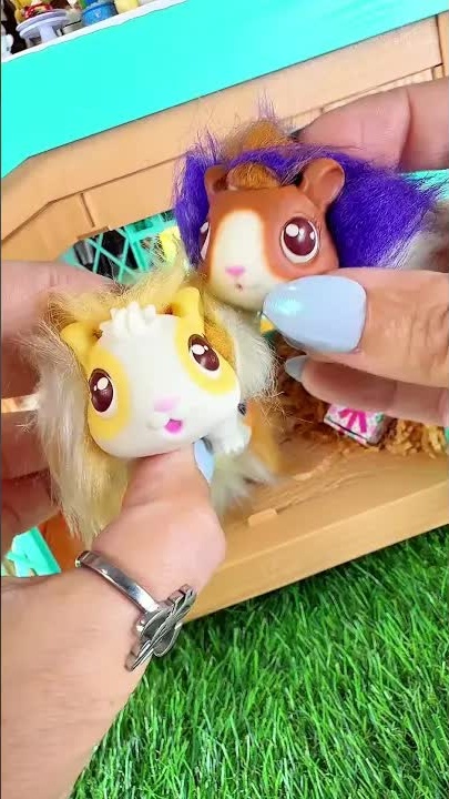 Little Live Pets guinea pig mama surprise #asmr #littlelivepets