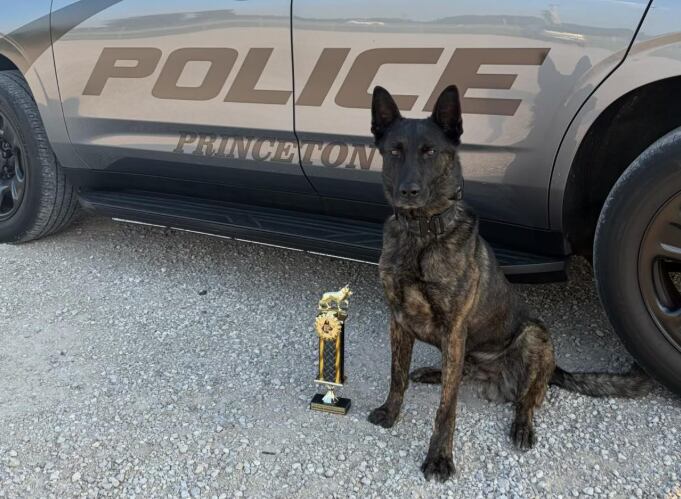 Princeton K-9 Kilo earns top finishes in debut narcotics competition