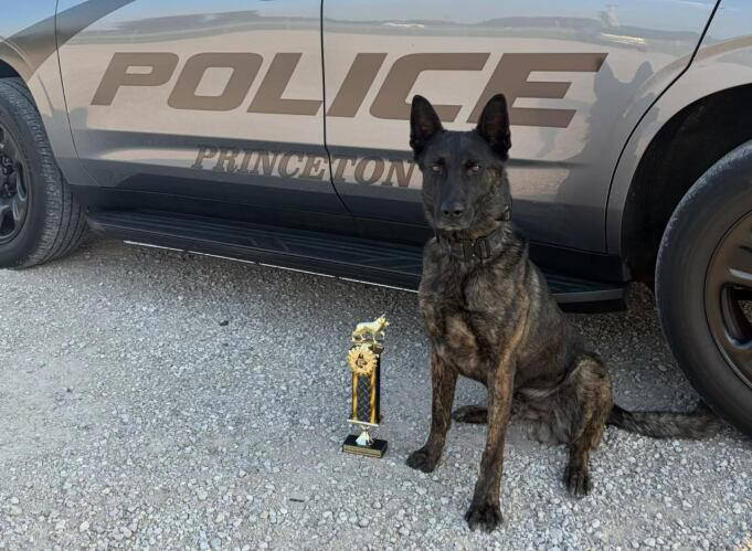 Princeton K-9 Kilo earns top finishes in debut narcotics competition