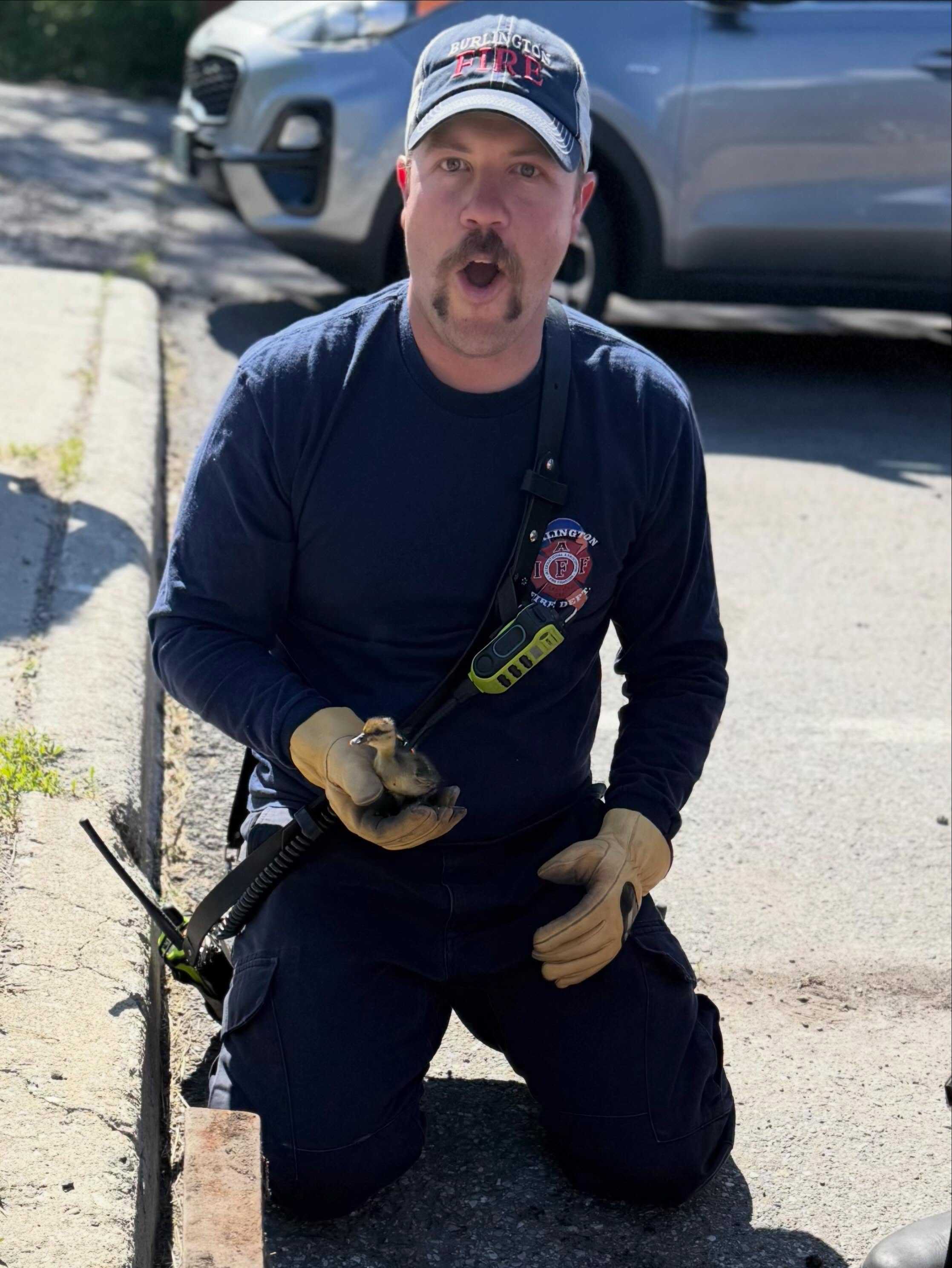 Burlington Fire Department rescues ducklings from storm drain