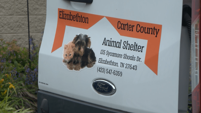 No animals or workers hurt after HVAC unit overheats, fills ...