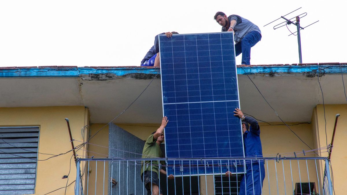 Semillas de arroz vietnamitas y paneles solares chinos: la batalla por ...