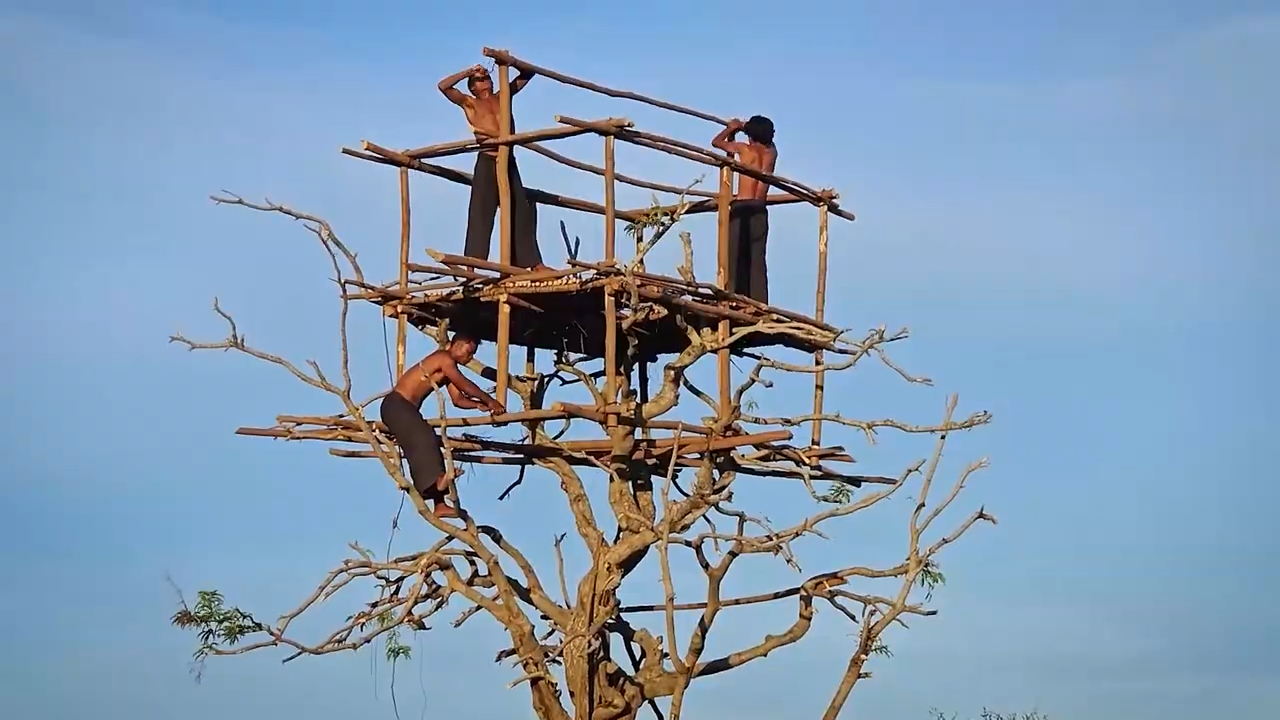 They built a tree house 15m high, and the platform nearly shifted