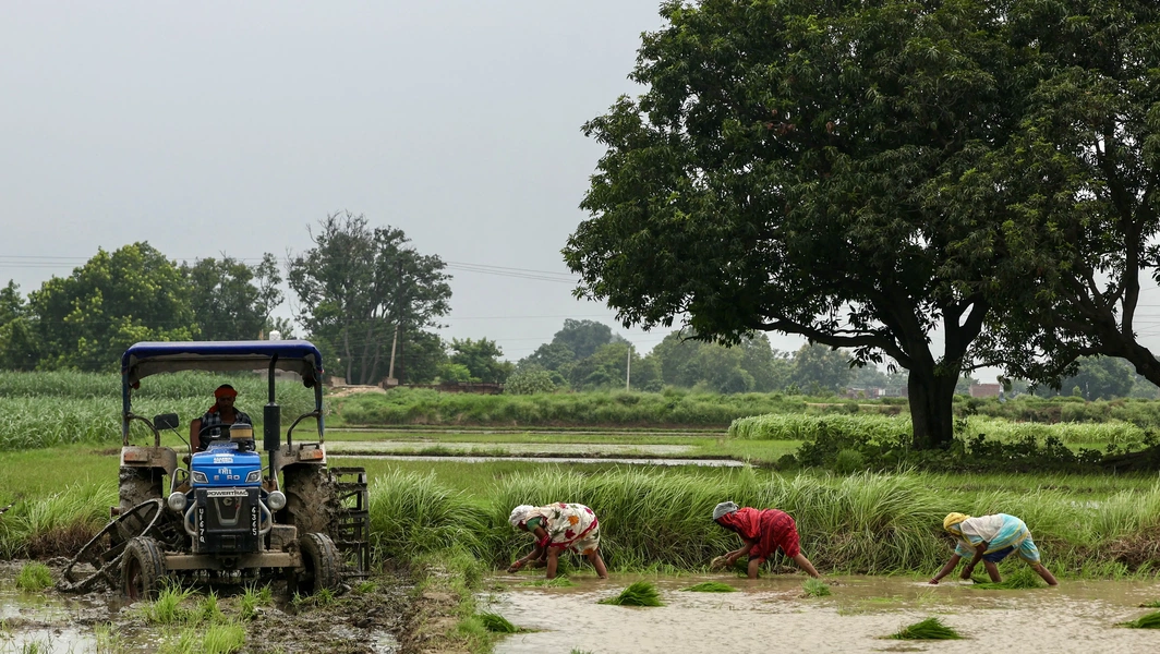 Weak monsoon and Hormuz crisis threaten India’s farm economy