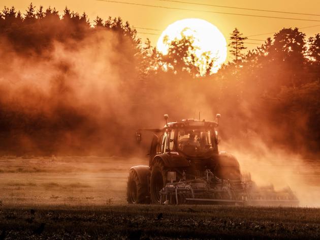 Rekord-Trockenheit im Frühjahr in Bayern: So wenig Regen wie seit ...