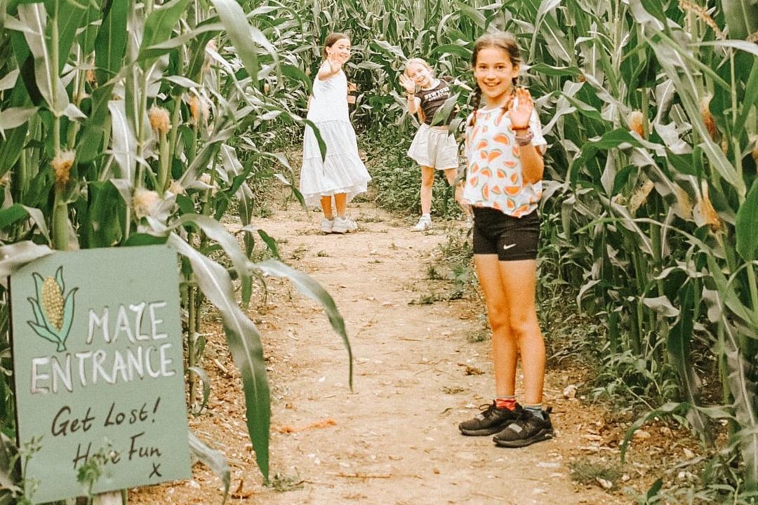 Farm near Lewes set to open seven-acre maize maze this summer