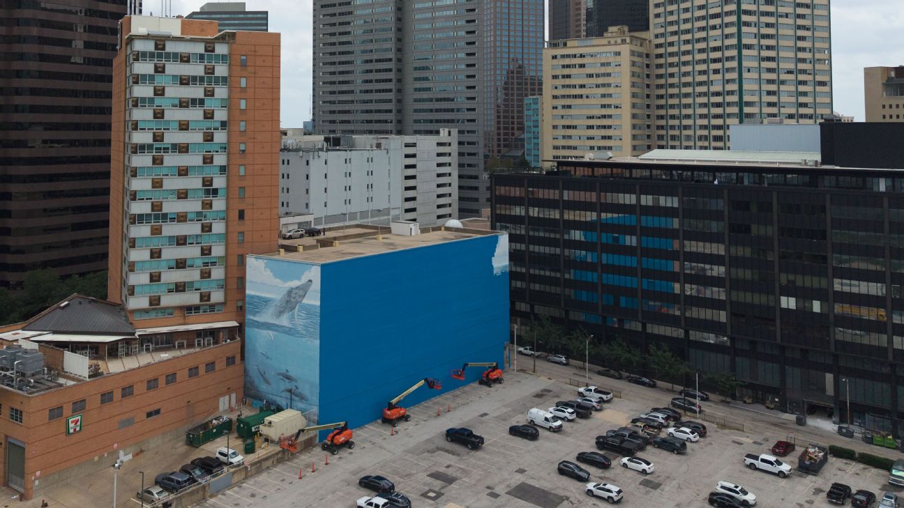 Artist sues FIFA for painting over Dallas whale mural for World Cup