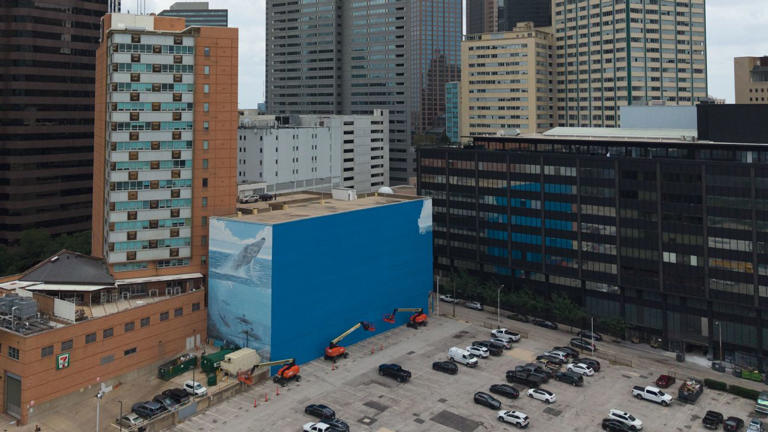 Artist sues FIFA for painting over Dallas whale mural for World Cup