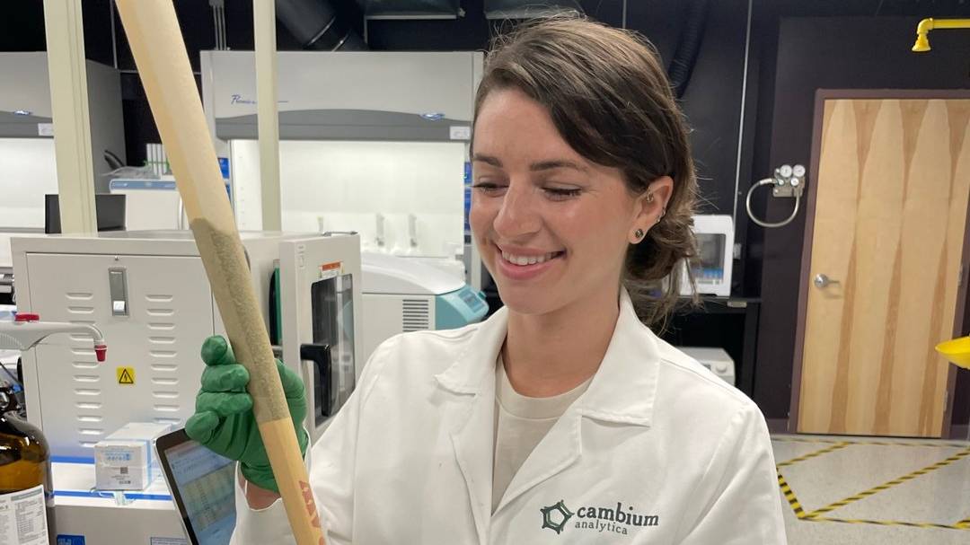 Scientist explains 'only two methods' to stop weed smoker's horrific ...