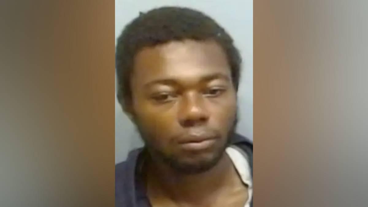 Woman, 66, fatally stabbed 20 times in random attack on train